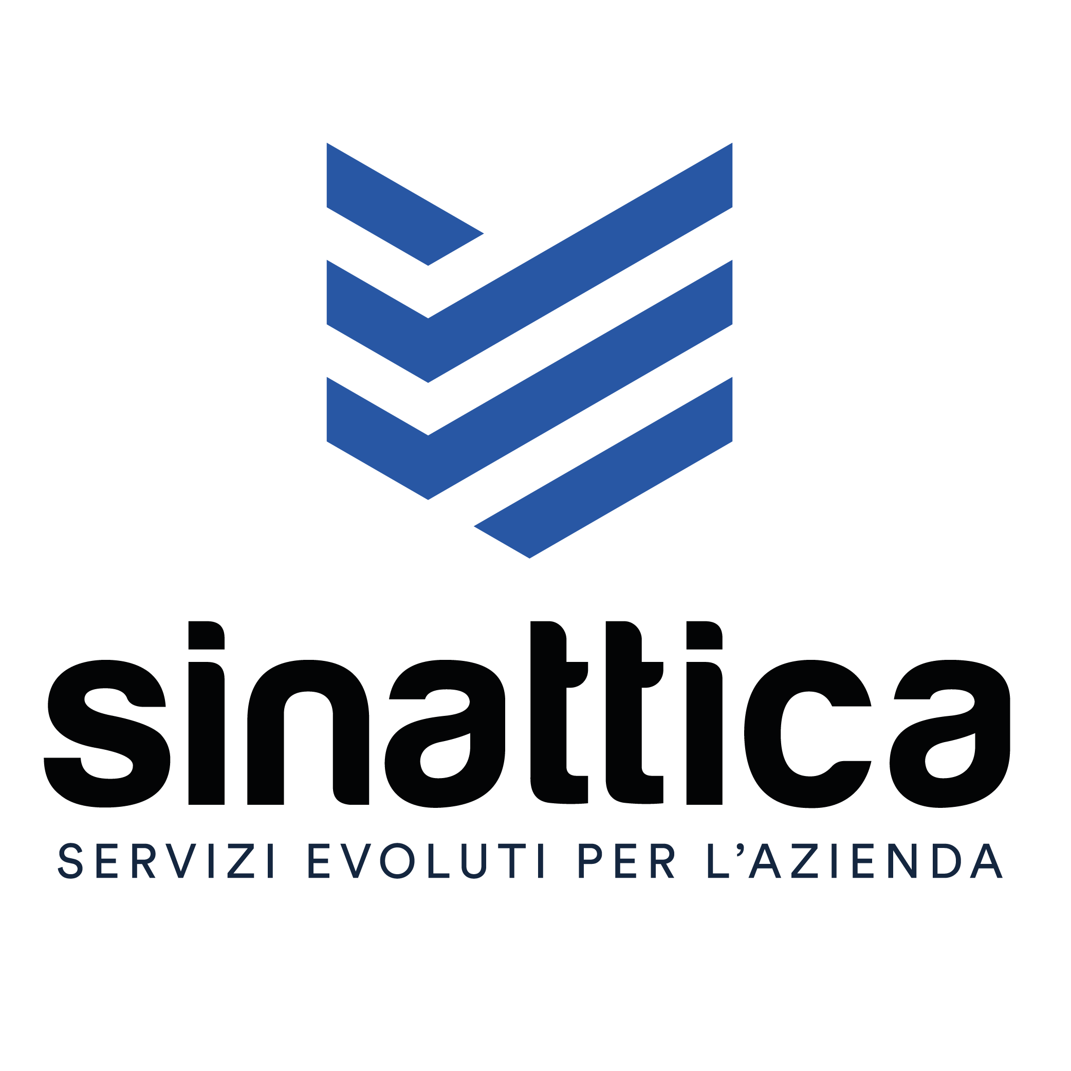 Consulenza Informatica e Servizi ICT Evoluti - Sinattica